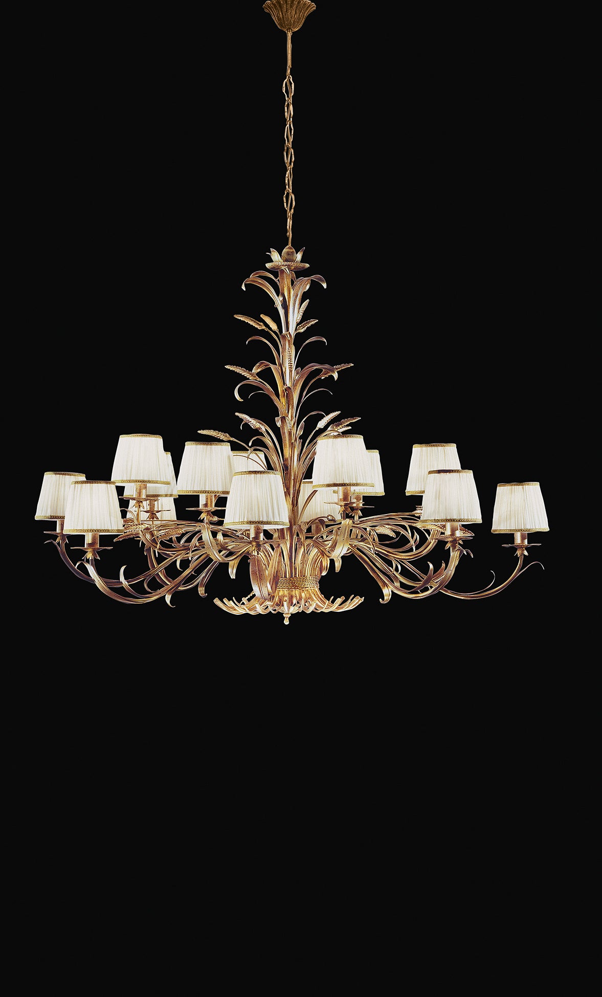 CAPRISA – Luminicia